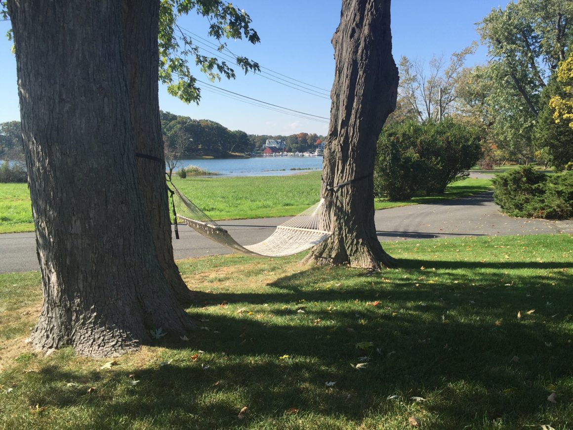 5 Healthy Yard Lessons for a Beautiful Yard - Green That Life