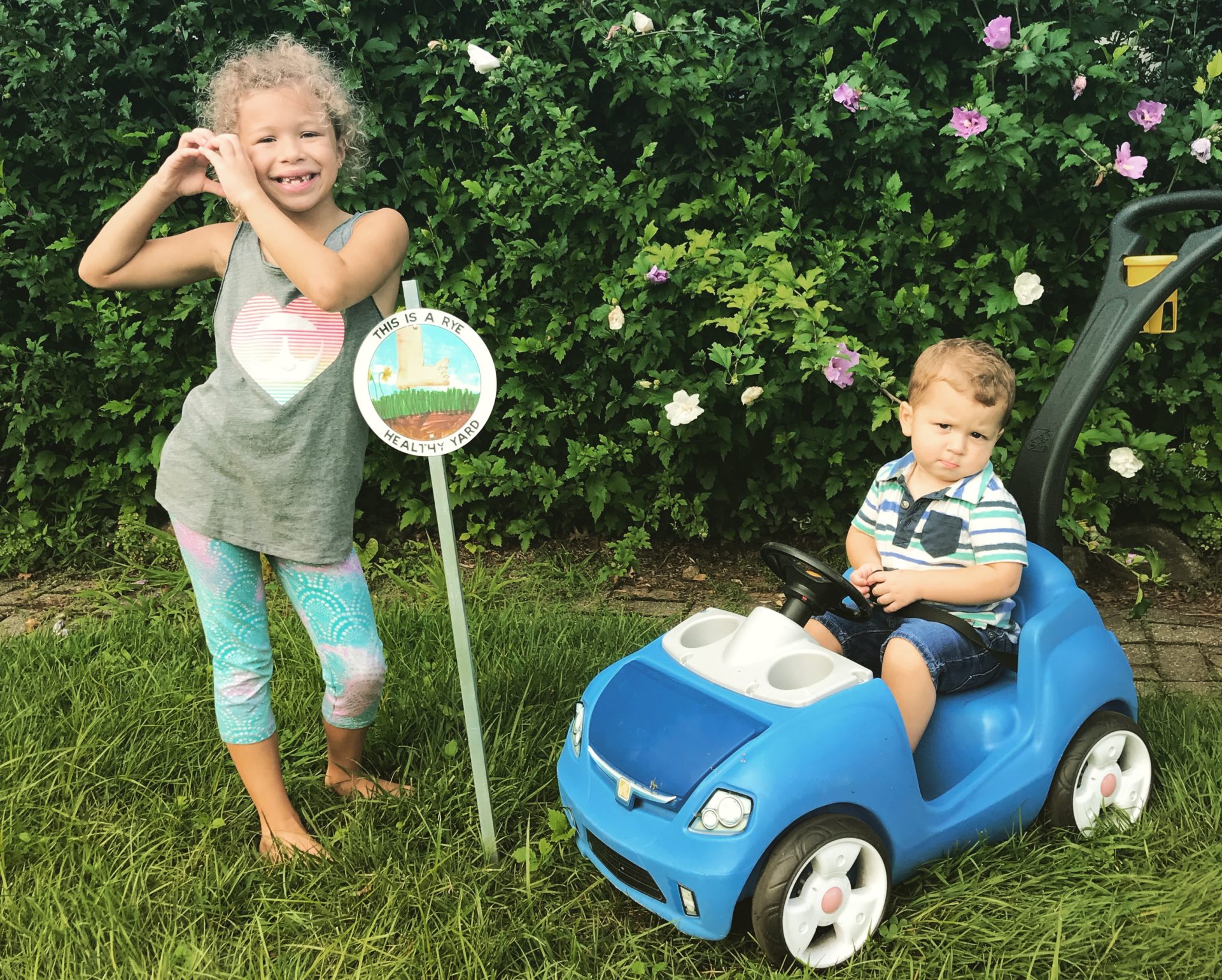 A Healthy Yard Project: 6 Lessons to Start One in Your Community ...