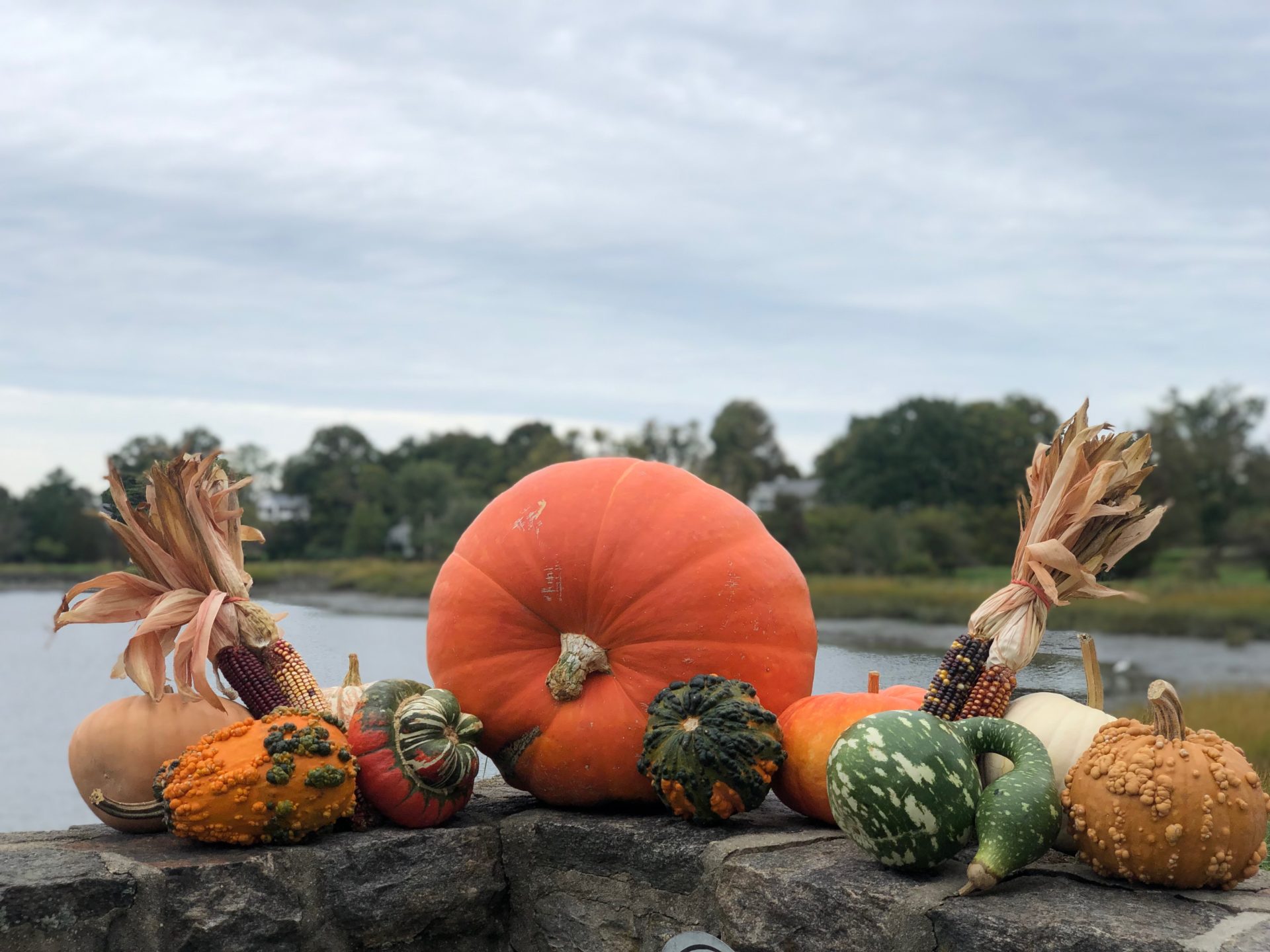 Your Ultimate Guide for a Green Halloween - Green That Life