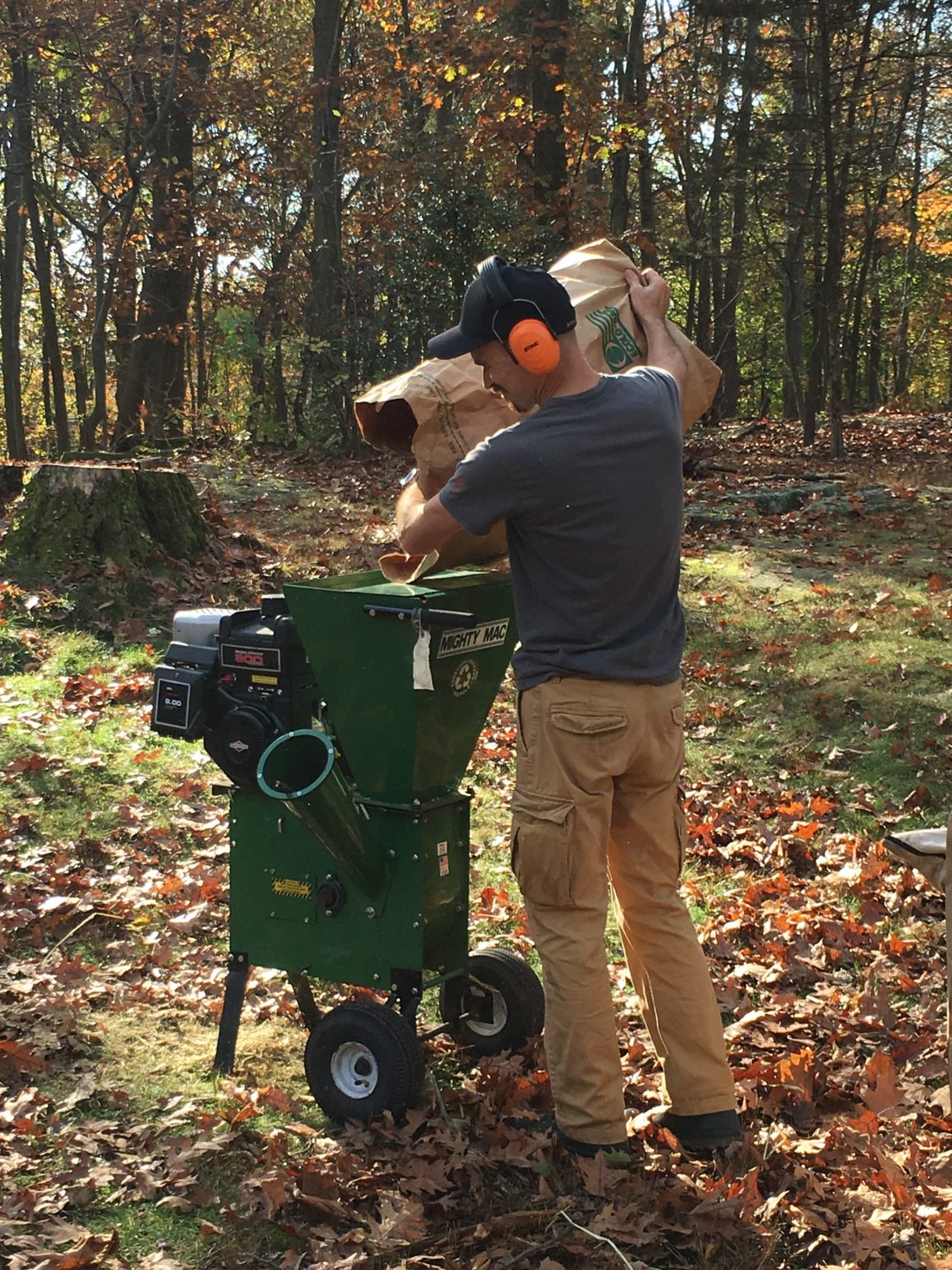 Leaf Mulching: 4 Easy Steps for a Green and Healthy Yard - Green That Life