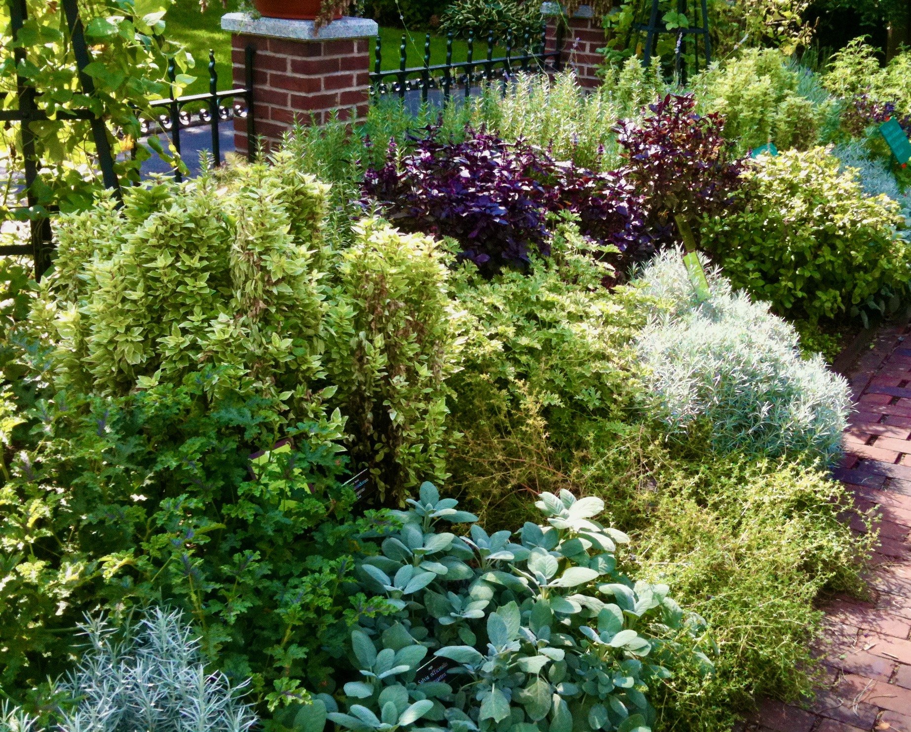 Go Wild for Rewilding! 6 Steps to Create a Wildlife-Friendly Yard ...