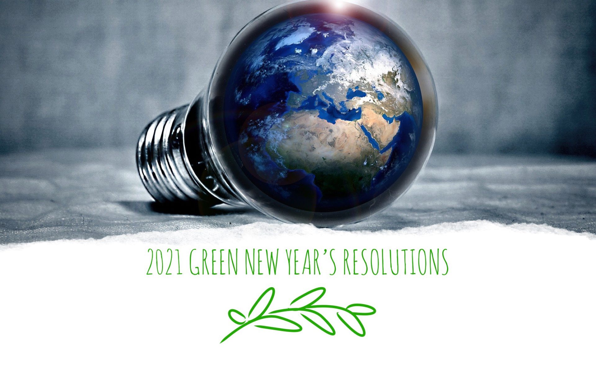 Make 2021 a Green New Year: 30 Easy and Effective New Year's Resolution ...