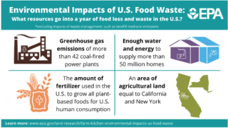 Food Waste is a Huge Waste. 7 Ways to Whittle The Waste. - Green That Life