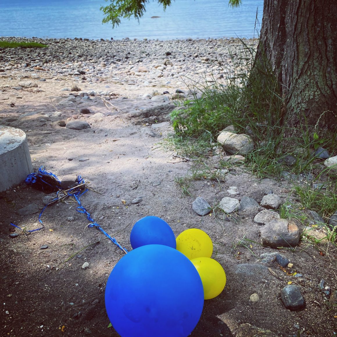 Balloon Pollution: A Ballooning Environmental Problem - Green That Life