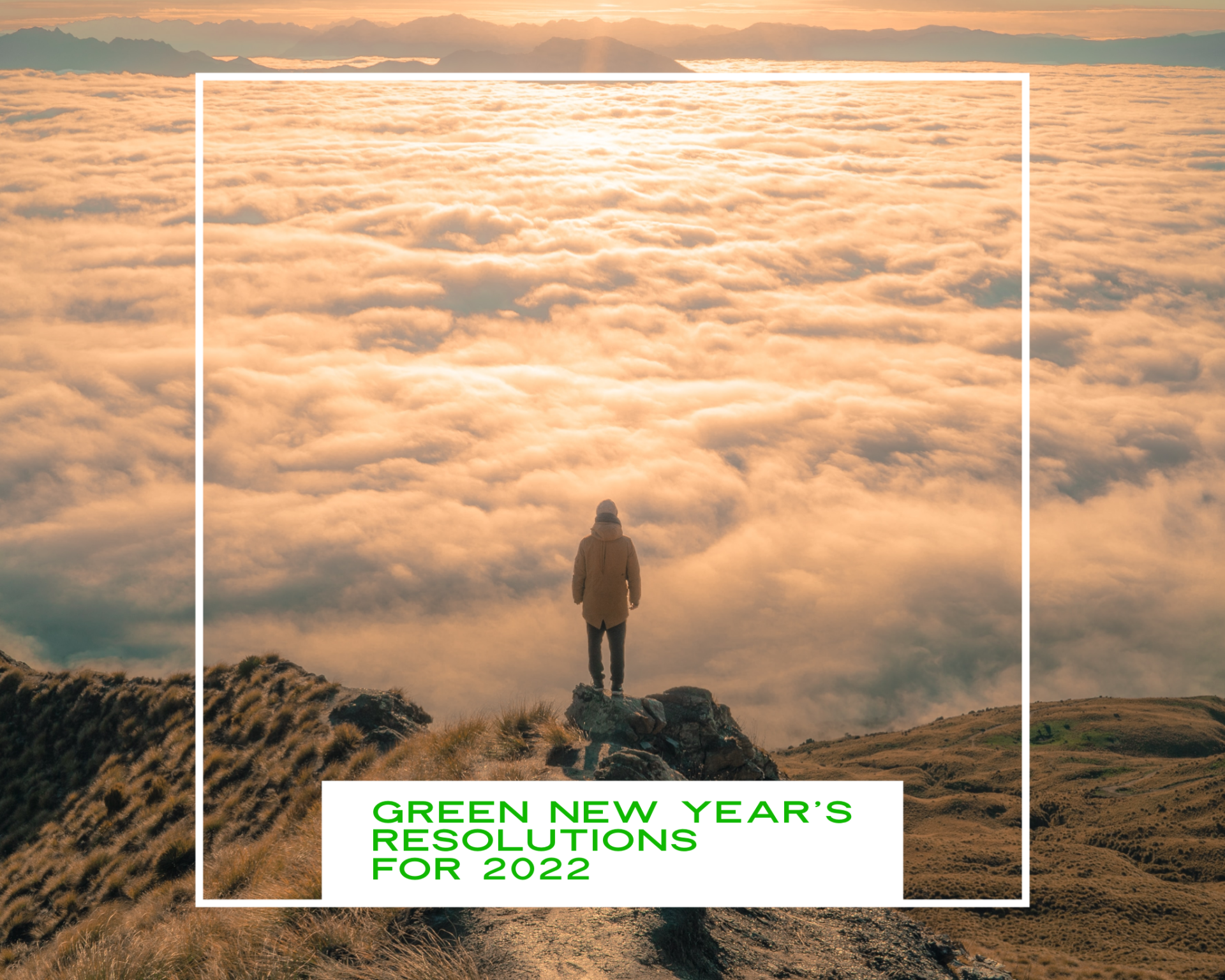 Make 2022 a Green New Year: 30 Easy and Effective New Year's Resolution ...
