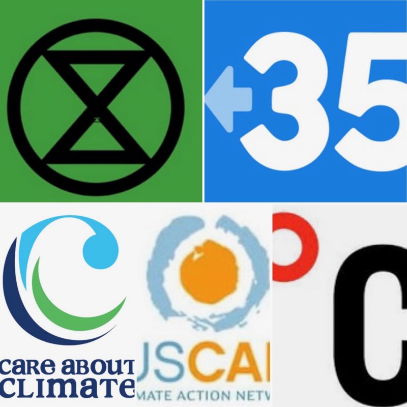 Taking Action: 5 Steps to Creating Your Own Citizen Advocacy Group ...