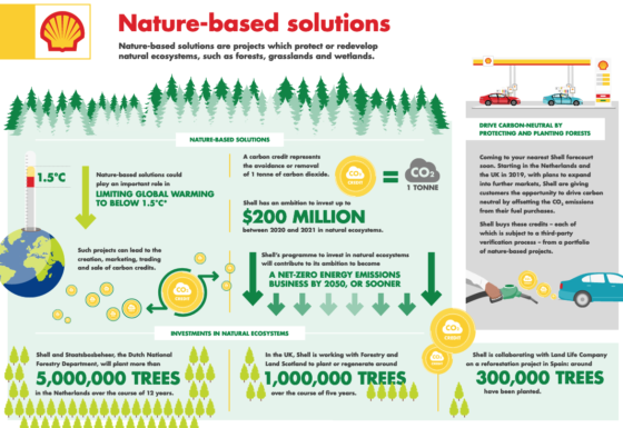 The Corporate Net Zero Climate Pledge: A Big Zero? - Green That Life