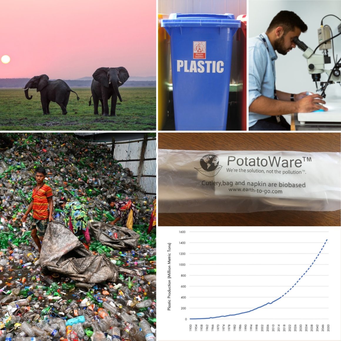 6 Myths About Plastic Debunked - Green That Life